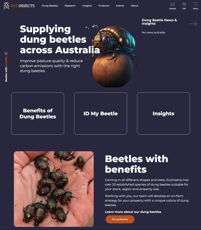 Eco Insects | Website Design & Development | CoBright