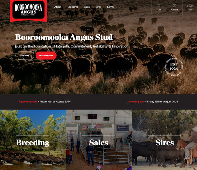 Booroomooka Angus | Website Design & Development | CoBright