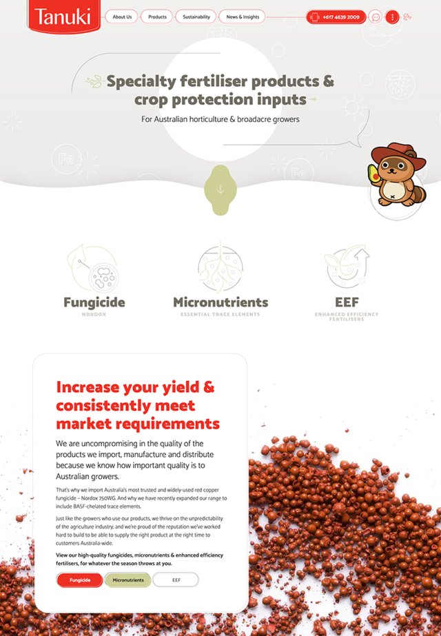 Tanuki | Website Design & Development | CoBright